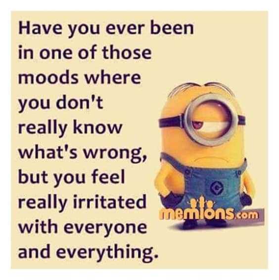 36 Funny Quotes Of The Day Precious Your Time – DailyFunnyQuote