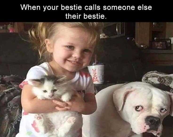 39 Funny Pictures That Will Make You laugh – DailyFunnyQuote