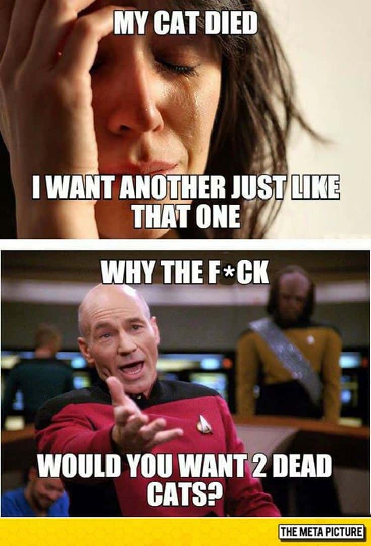 97 Funniest Memes Of All Time Dailyfunnyquote