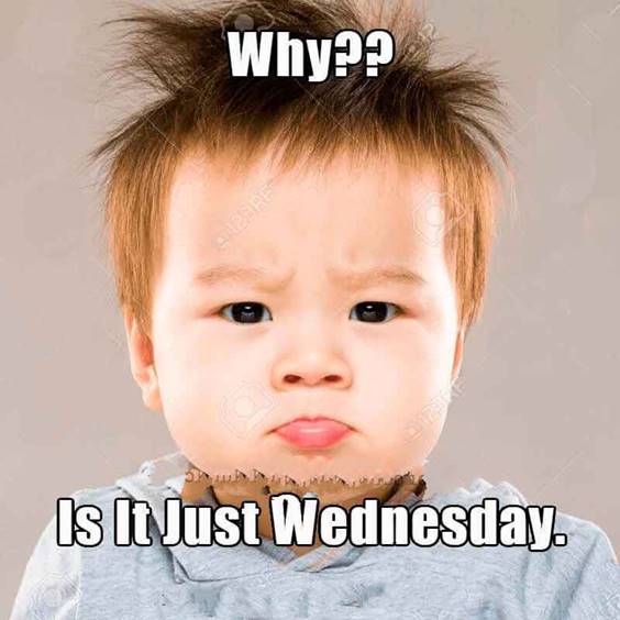 65 Craziest Funny Wednesday Memes to Make Brighten Your day ...