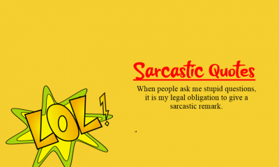 80 Sarcastic Quotes About Life Lessons – Daily Funny Quotes