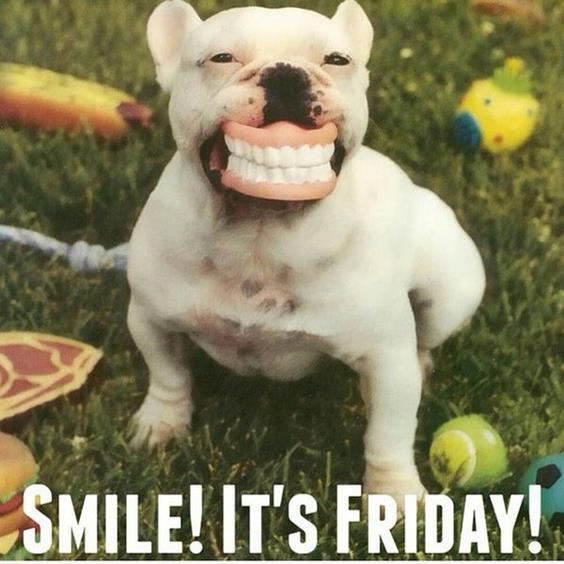 75 Funny Friday Memes | Happy Friday Quotes With Images – DailyFunnyQuote