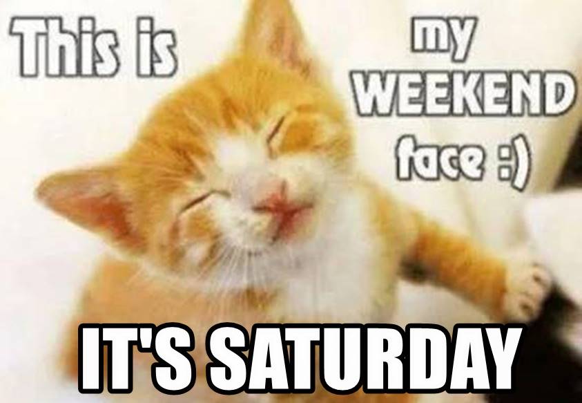 75+ Best Funny Saturday Memes with Images – DailyFunnyQuote