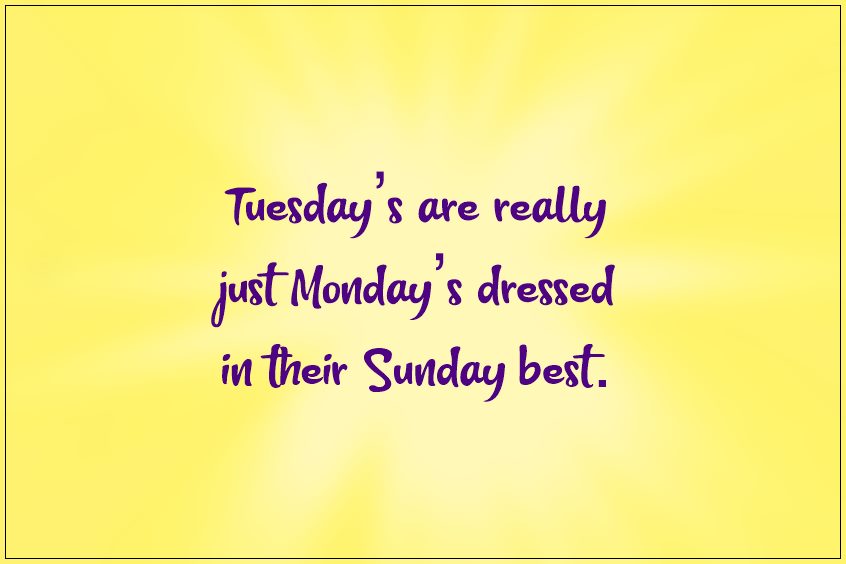 75 Funny Tuesday Memes | Happy Tuesday Quotes With Images – DailyFunnyQuote