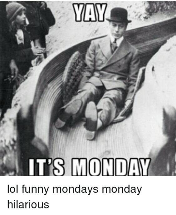 100 Funny Monday Memes | Happy Monday Quotes With Images – DailyFunnyQuote