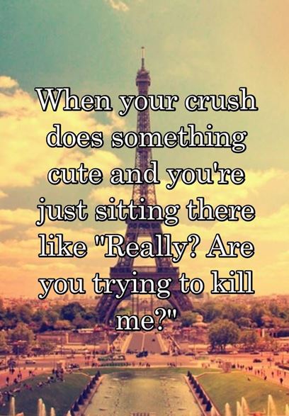 38 Best And Short Crush Memes For Her And Him – DailyFunnyQuote