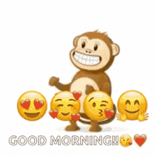 30 Funny Good Morning GIFs – DailyFunnyQuote